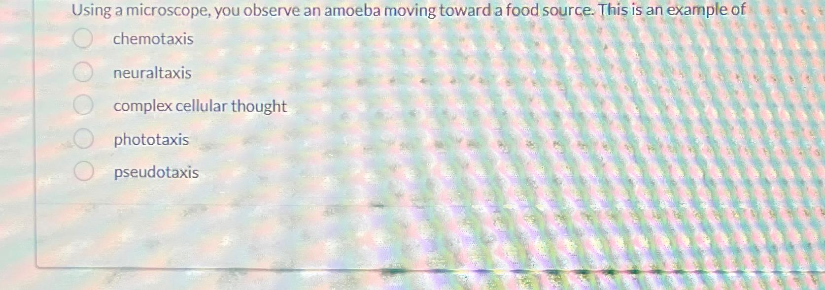 Solved Using a microscope, you observe an amoeba moving | Chegg.com