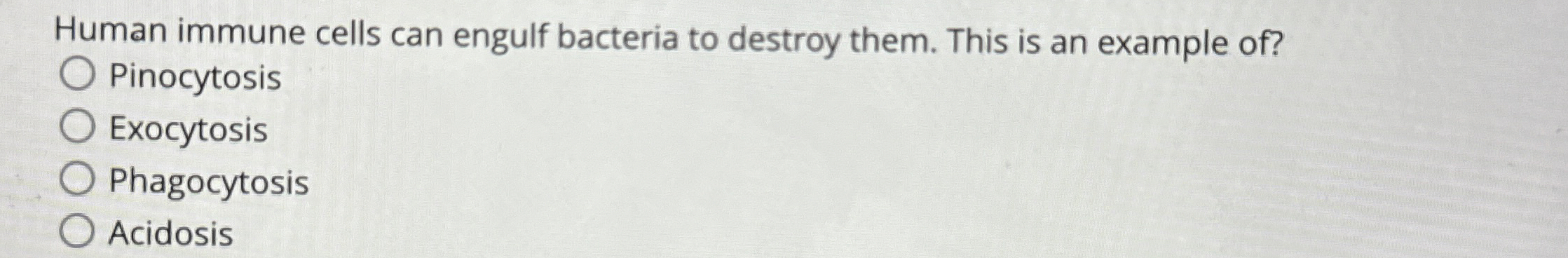 Solved Human immune cells can engulf bacteria to destroy | Chegg.com