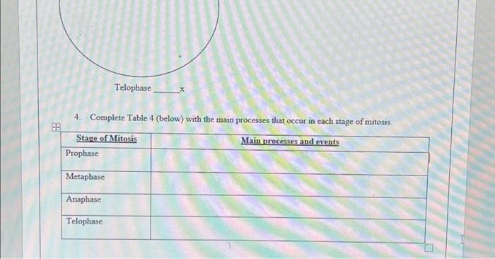 Solved 4. Complete Table 4 (below) with the main processes | Chegg.com