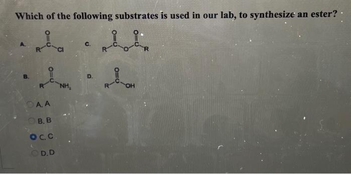 Solved Which of the following substrates is used in our lab, | Chegg.com