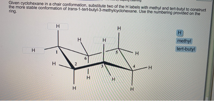 Solved Draw a planar structure for the following compound | Chegg.com