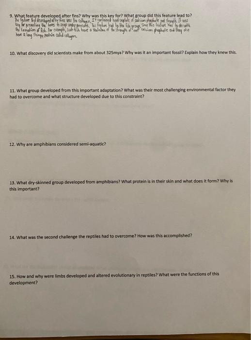 please answr the following questions for the | Chegg.com