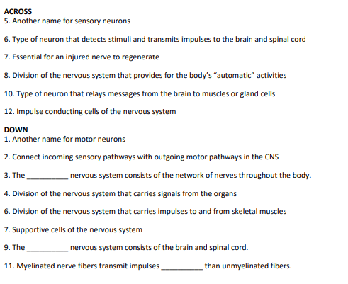 Solved ACROSS 5. ﻿Another name for sensory neurons 6. ﻿Type | Chegg.com