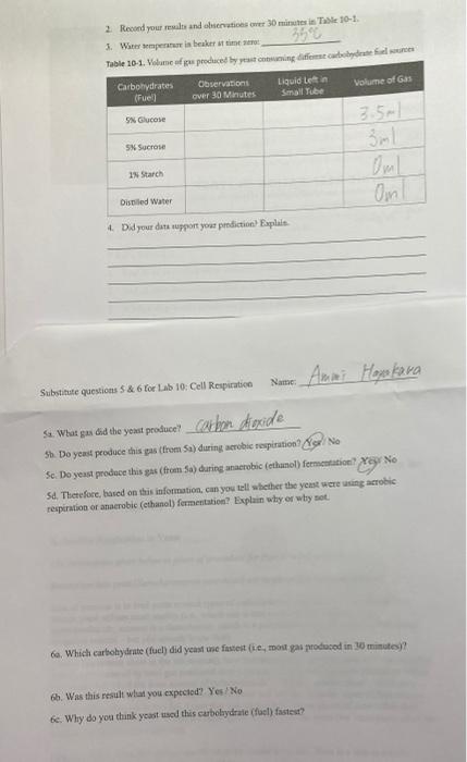 Solved LAB 10: ANSWER SHEET CELLULAR RESPIRATION Name Date | Chegg.com