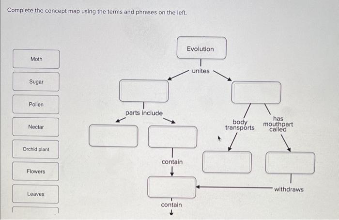 Solved Complete the concept map using the terms and phrases | Chegg.com