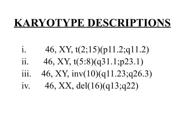 Solved Karyotype Lab Chromosome structure and chromosome | Chegg.com