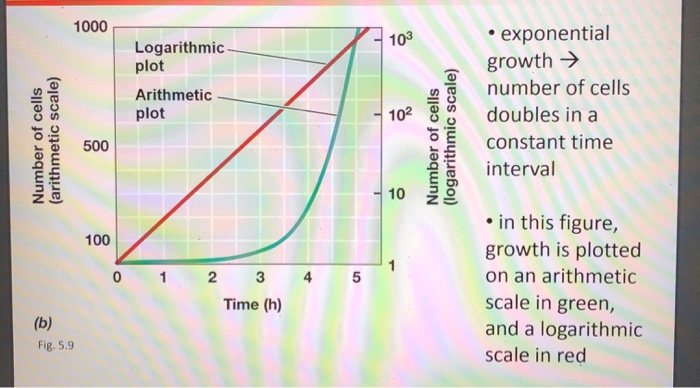 Solved 1000 Logarithmic plot Arithmetic plot Number of cells | Chegg.com