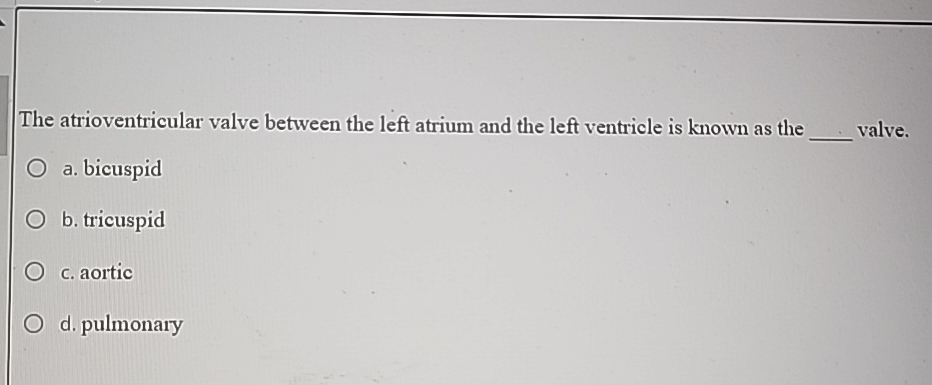 Solved The atrioventricular valve between the left atrium | Chegg.com