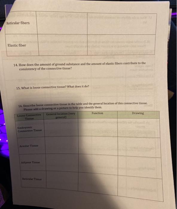 Solved Simple Glands Examples Drawing Simple Tubular Simple | Chegg.com