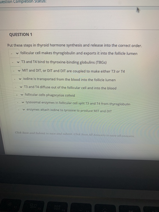 Solved uestion Completion Status: QUESTION 1 Put these steps | Chegg.com