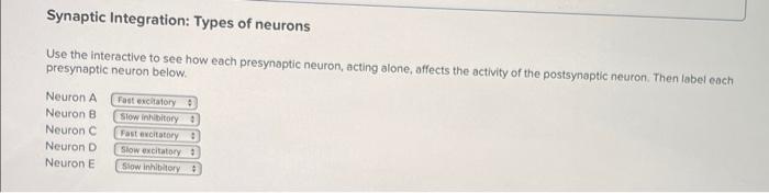 Required information Synaptic Integration Synaptic | Chegg.com