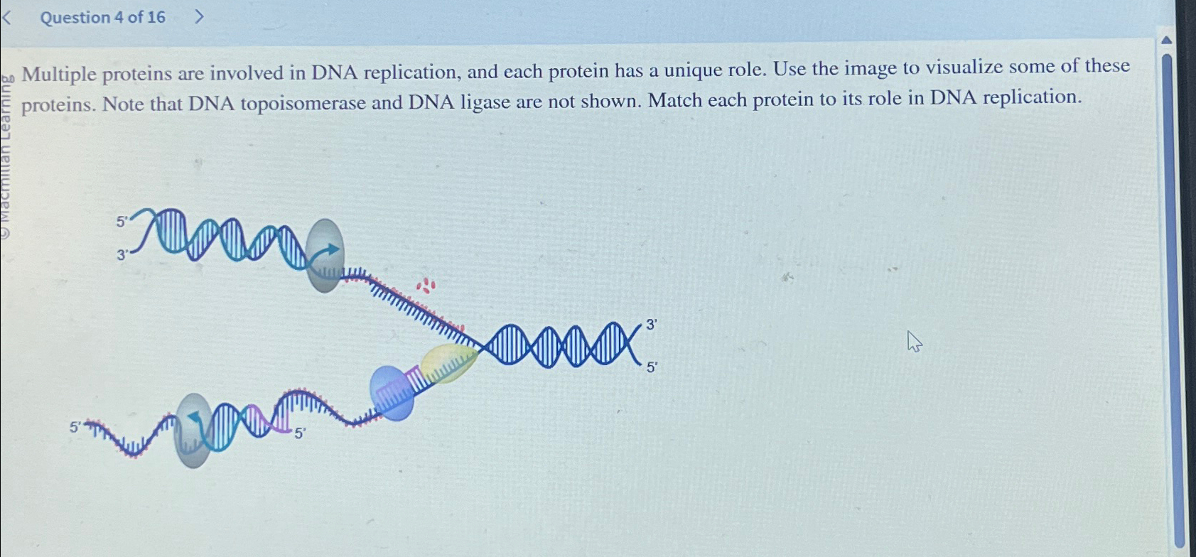 Solved Question 4 ﻿of 16Multiple proteins are involved in | Chegg.com