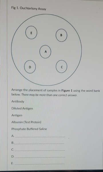 Solved Fig 1. Ouchterlony Assay B A D Arrange the placement | Chegg.com