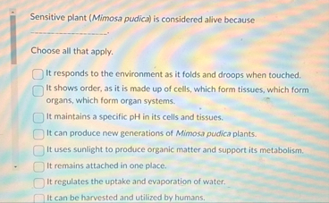 Solved Sensitive plant (Mimosa pudica) ﻿is considered alive | Chegg.com
