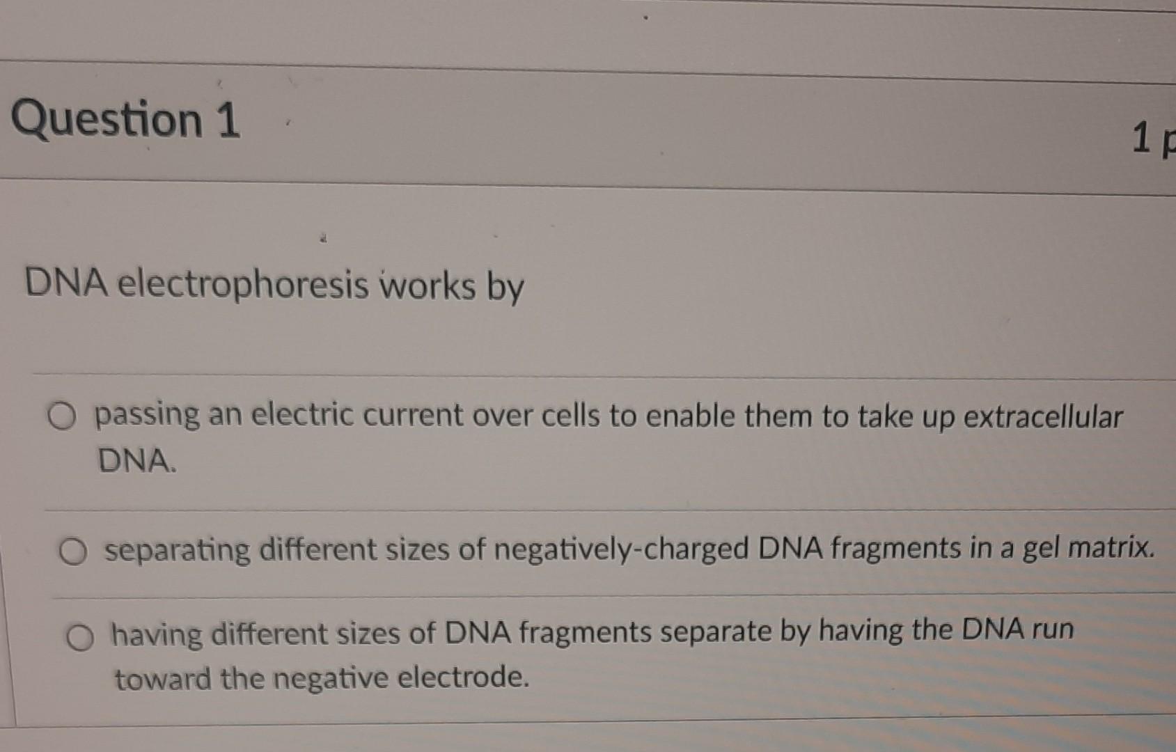 Solved DNA electrophoresis works by passing an electric | Chegg.com