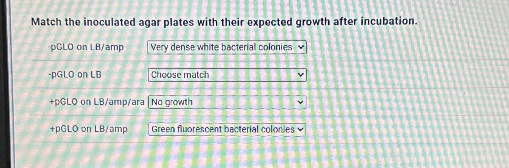 Solved Match the inoculated agar plates with their expected | Chegg.com