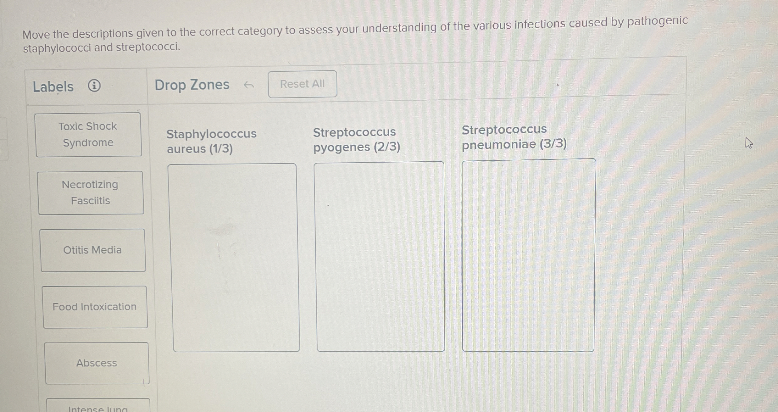 Solved Move the descriptions given to the correct category | Chegg.com