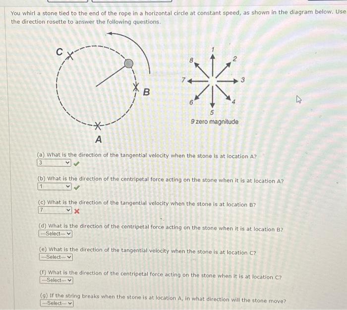 Solved You whirl a stone tied to the end of the rope in a | Chegg.com