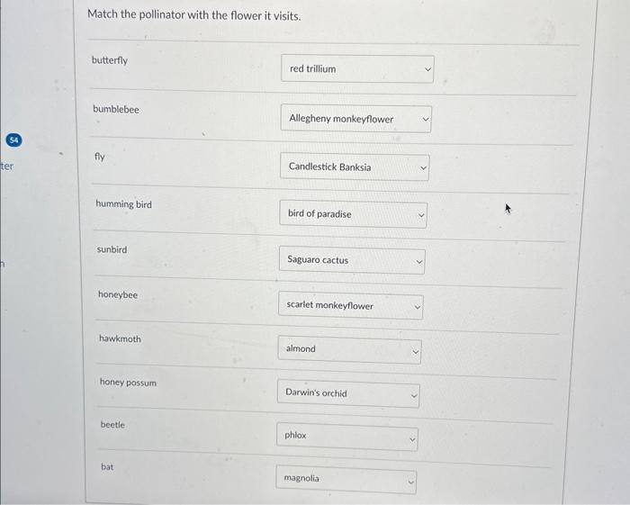 Solved Match the pollinator with the flower it visits. | Chegg.com