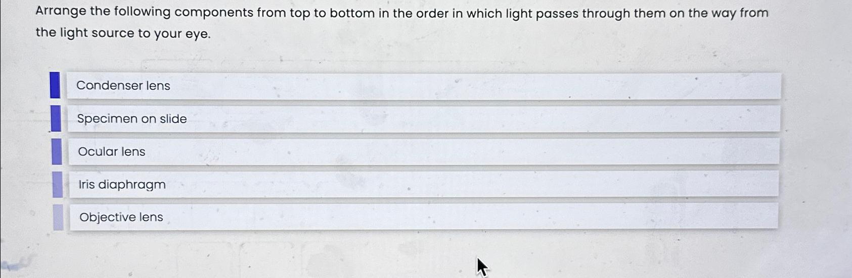 Solved Arrange the following components from top to bottom | Chegg.com