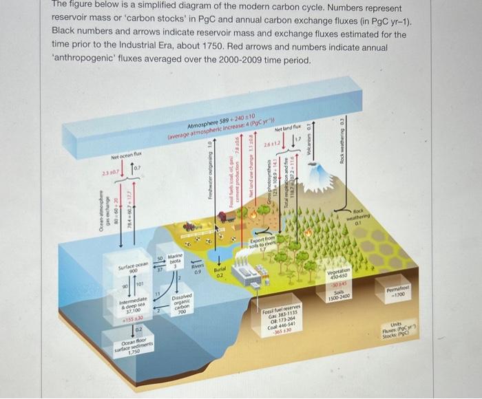 Solved The carbon cycleThe carbon cycle describes the | Chegg.com