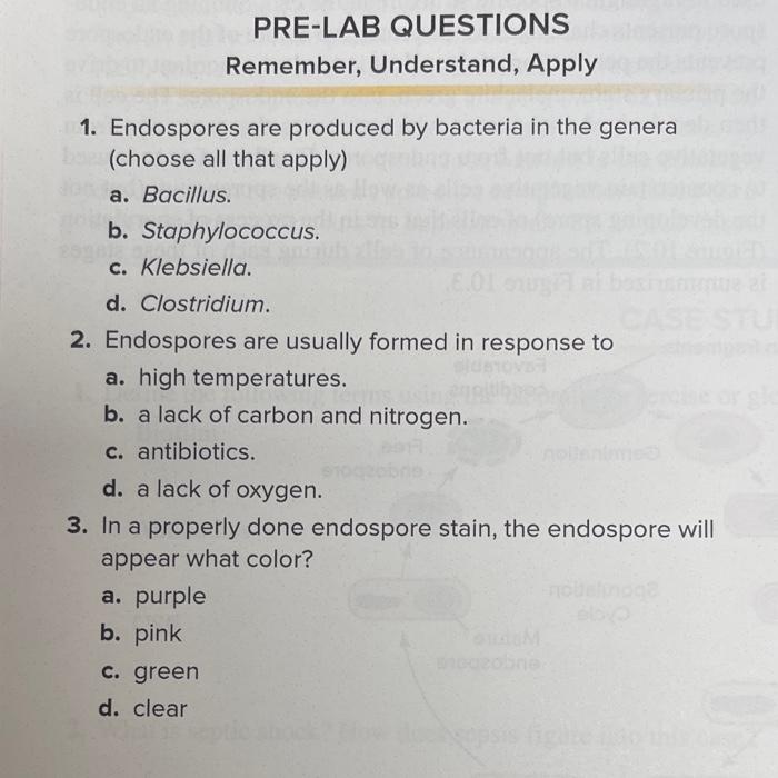 PRE-LAB QUESTIONS Remember, Understand, Apply 1. | Chegg.com