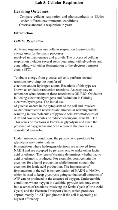 Solved Lab 5: Cellular Respiration Learning Outcomes: . | Chegg.com