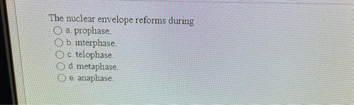 Solved The nuclear envelope reforms during O a prophase. b. | Chegg.com