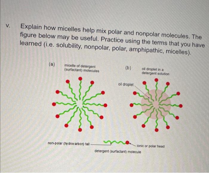 Solved Explain how micelles help mix polar and nonpolar | Chegg.com