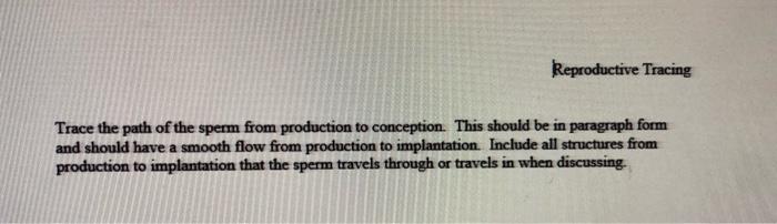 Solved Trace the path of the sperm from production to | Chegg.com