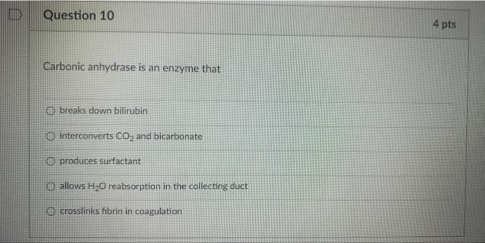 Solved D Question 10 4 pts Carbonic anhydrase is an enzyme | Chegg.com