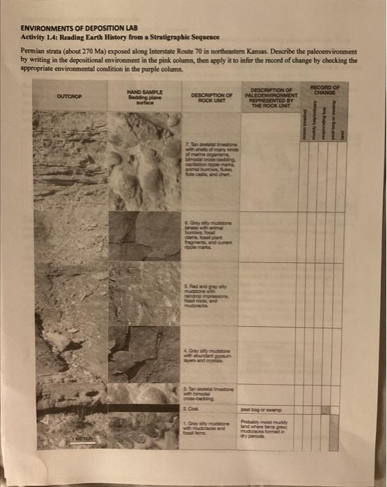 ENVIRONMENTS OF DEPOSITION LAB Activity 1.4: Reading | Chegg.com