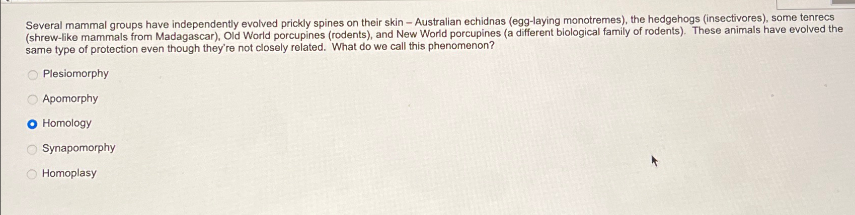 Solved Several mammal groups have independently evolved | Chegg.com