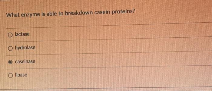 What enzyme is able to breakdown casein proteins? | Chegg.com