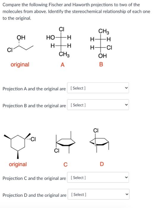 Solved Compare the following Fischer and Haworth projections | Chegg.com