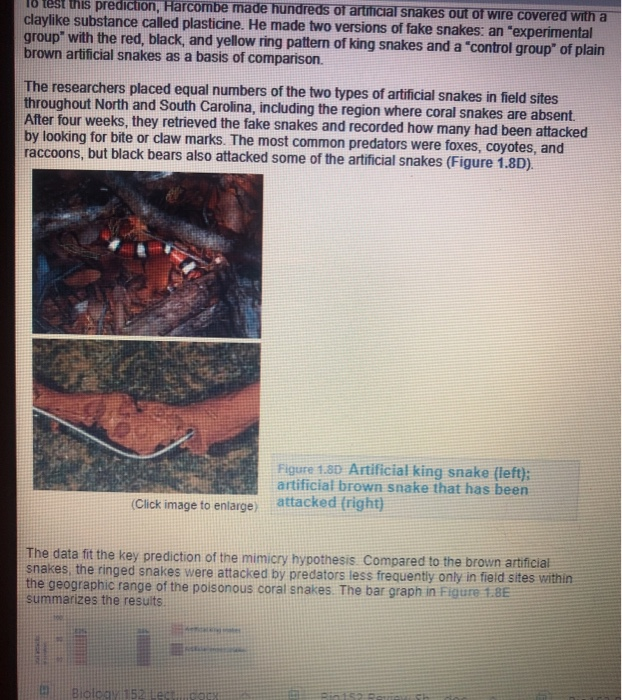 Solved Annotate 18 With Hypothesis Based Science We Pose