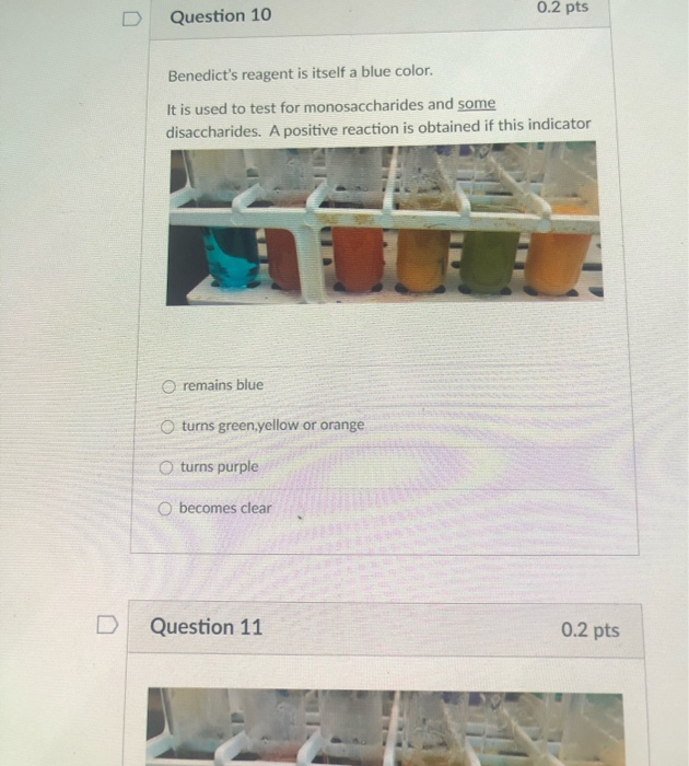 Solved Question 16 0.2 pts Biuret Reagent Substance Color | Chegg.com