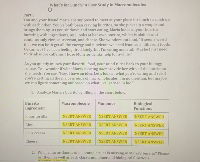 Solved What's for Lunch? A Case Study in Macromolecules Part | Chegg.com