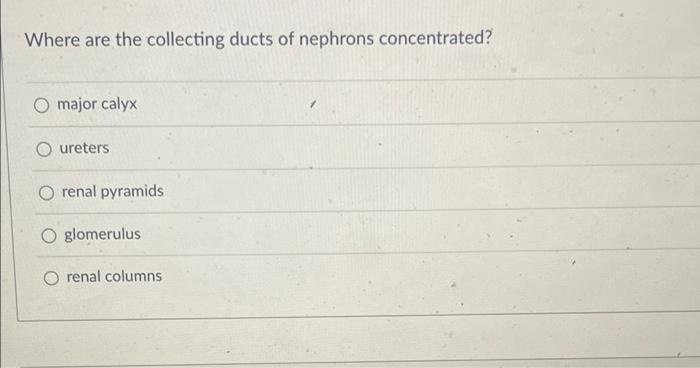 Solved The rhythmic contractions of smooth muscles to move | Chegg.com