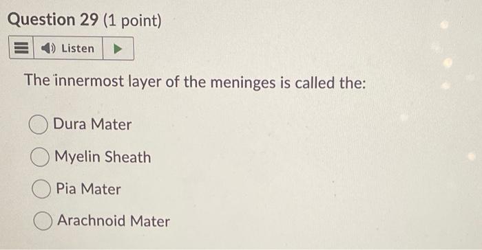 Solved The innermost layer of the meninges is called the: | Chegg.com