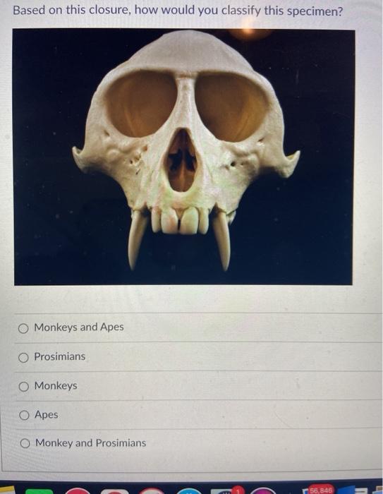 Solved Based on this closure, how would you classify this | Chegg.com