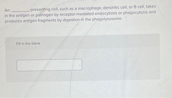 Solved An -presenting cell, such as a macrophage, dendritic | Chegg.com