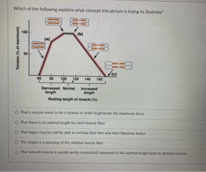 Solved Which of the following explains what concept this | Chegg.com