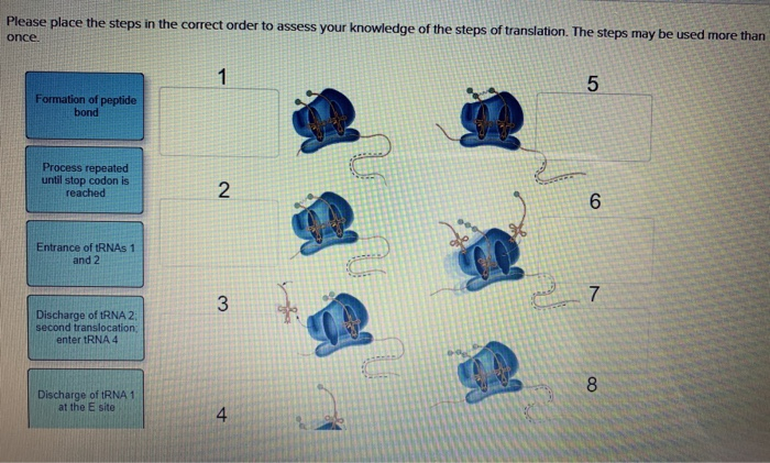 Solved Please place the steps in the correct order to assess | Chegg.com