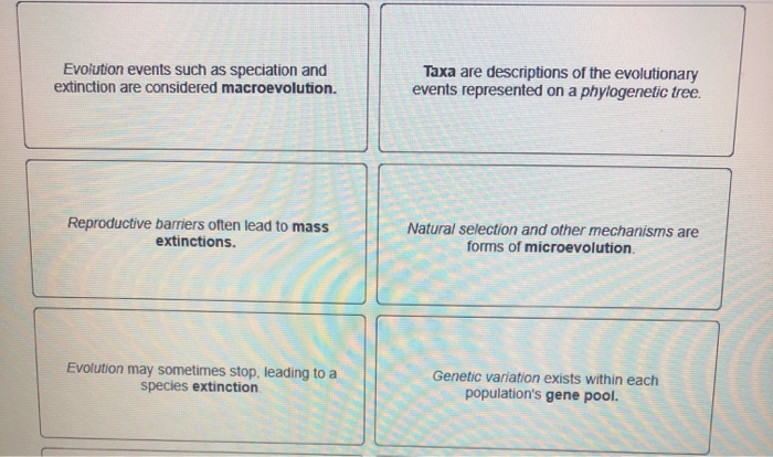 Solved Consider how you might add new terms and connections | Chegg.com