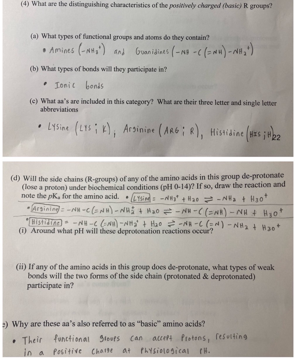 Solved For Biochemistry. All I need is the blank questions | Chegg.com