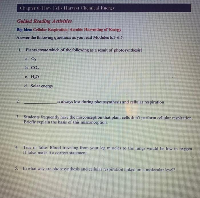 Solved Chapter 6: How Cells Harvest Chemical Energy Guided | Chegg.com