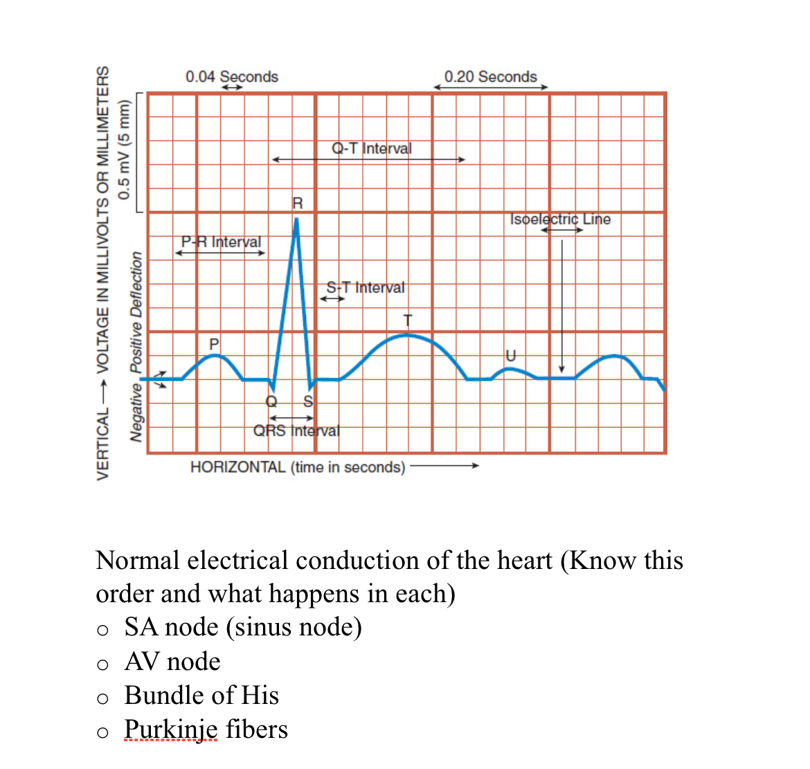 Solved Normal electrical conduction of the heart (Know this | Chegg.com