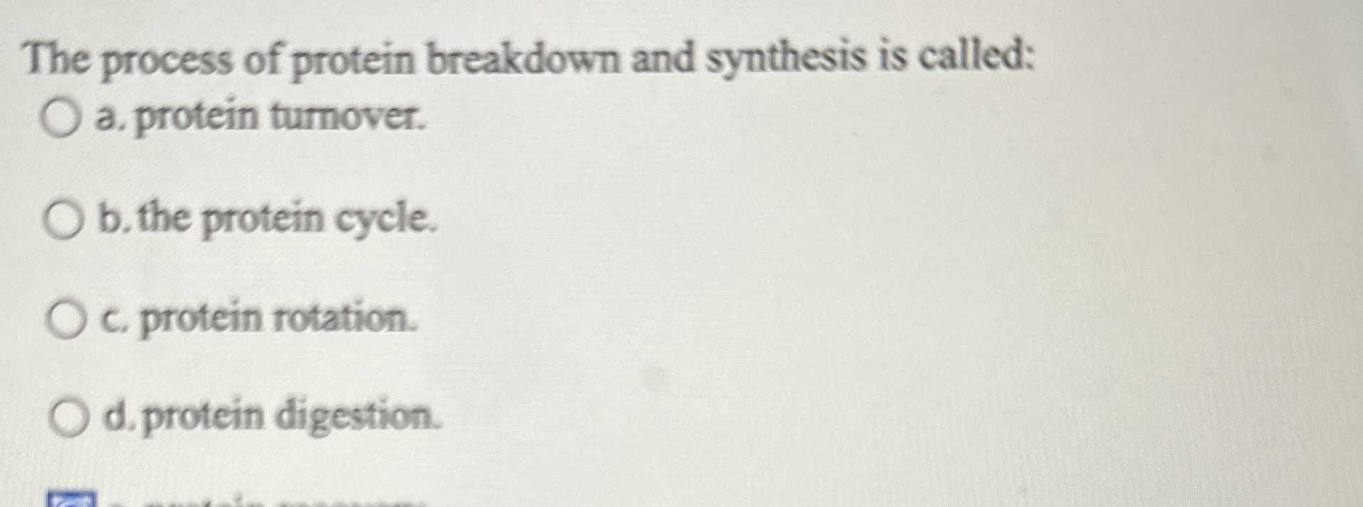 Solved The process of protein breakdown and synthesis is | Chegg.com