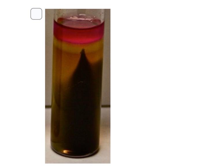 Solved Which bacteria reduce Sulfur? (Select all that | Chegg.com